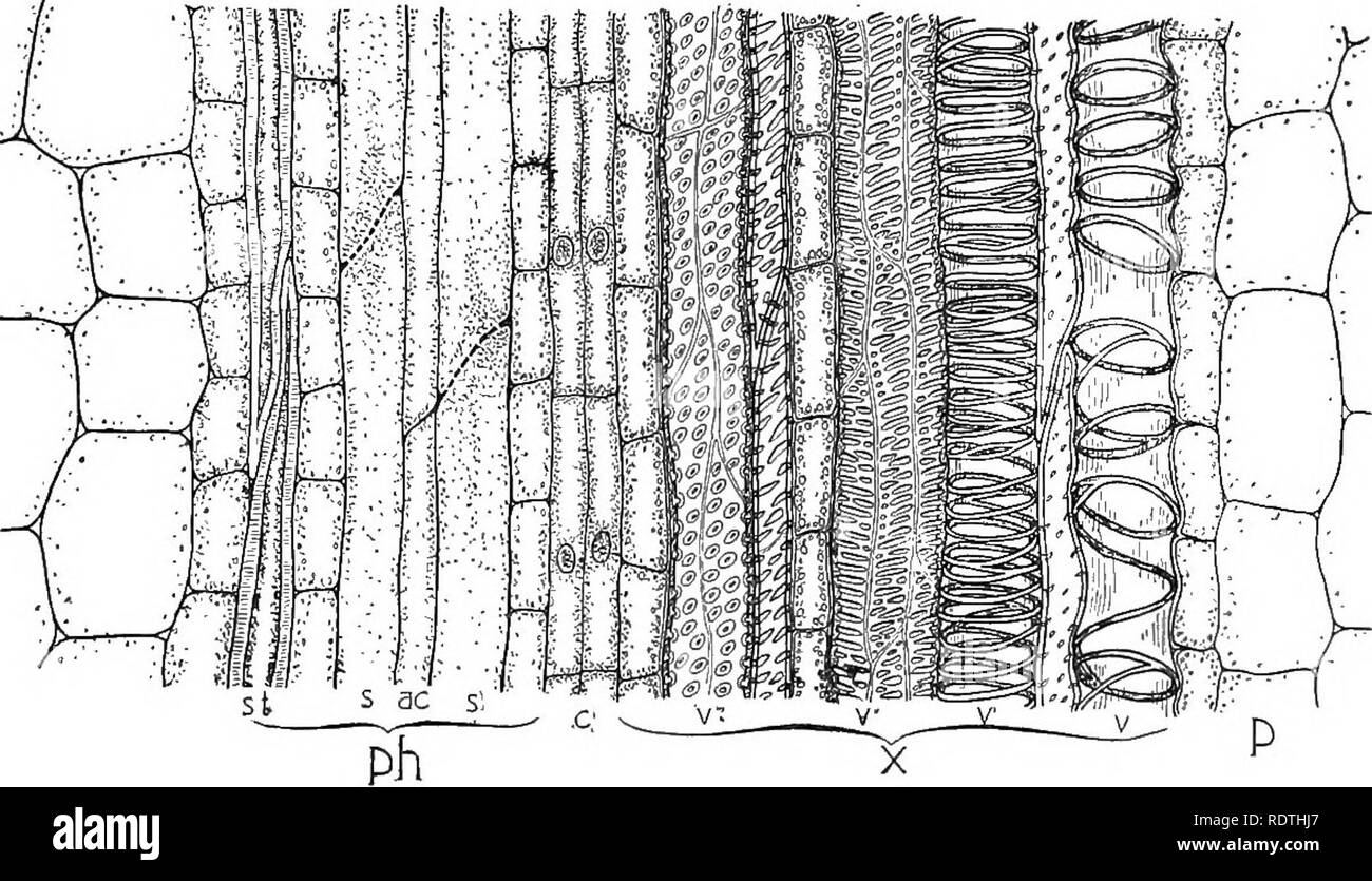 Large sieve Black and White Stock Photos & Images - Alamy