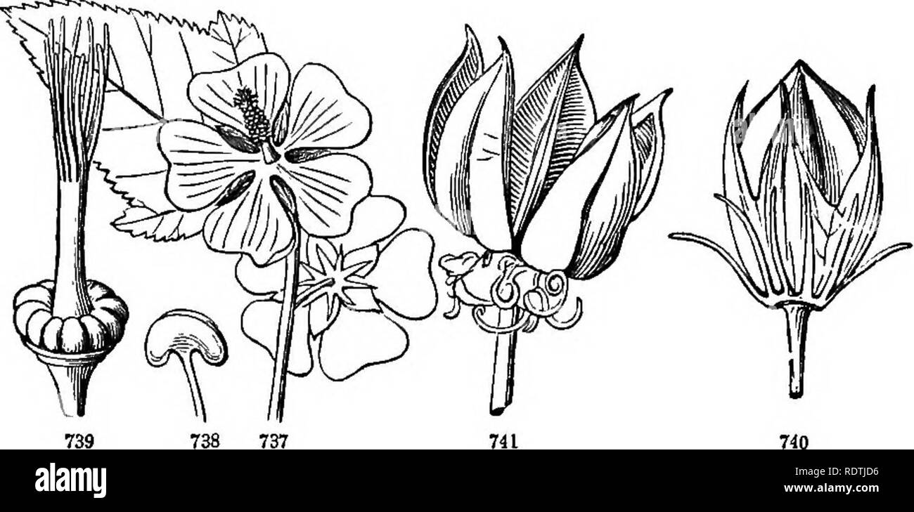 Natueal hi-res stock photography and images - Alamy