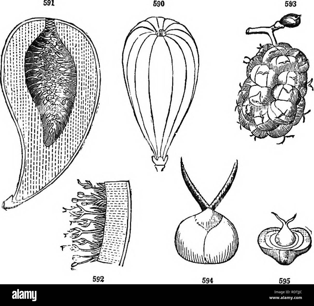 319 ers Black and White Stock Photos & Images - Alamy