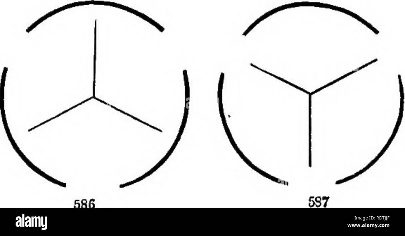 Cerastium Black and White Stock Photos & Images - Alamy