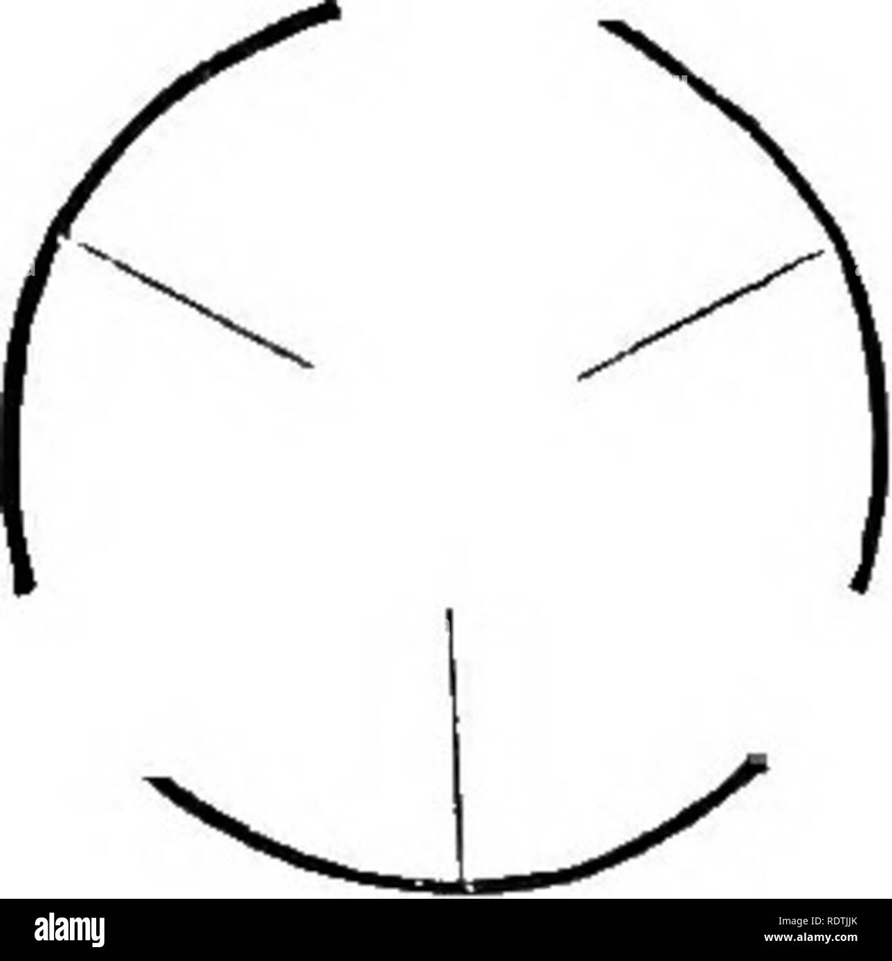 Loculicidal capsule hi-res stock photography and images - Alamy