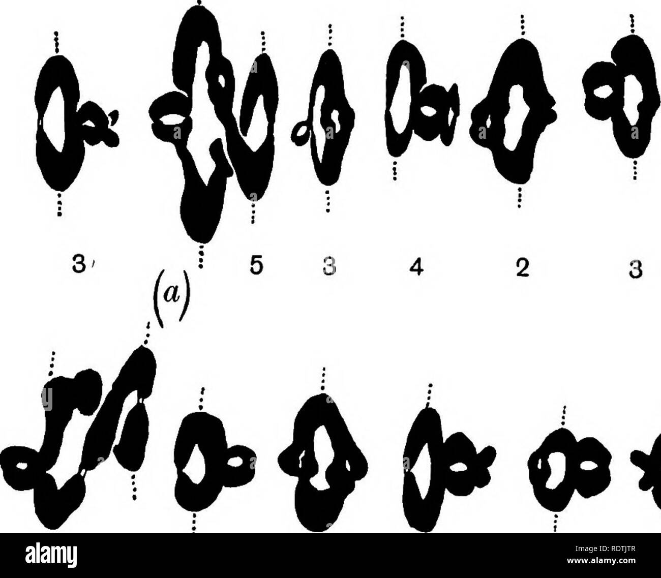 Chiasmata Black and White Stock Photos & Images - Alamy