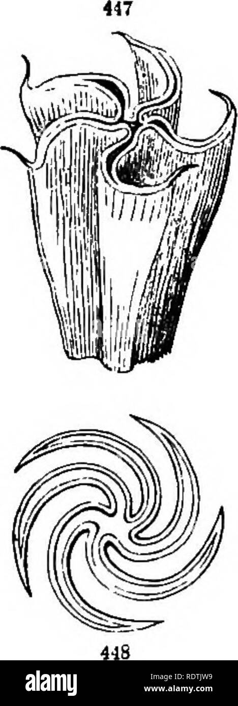 Supervolute hi-res stock photography and images - Alamy