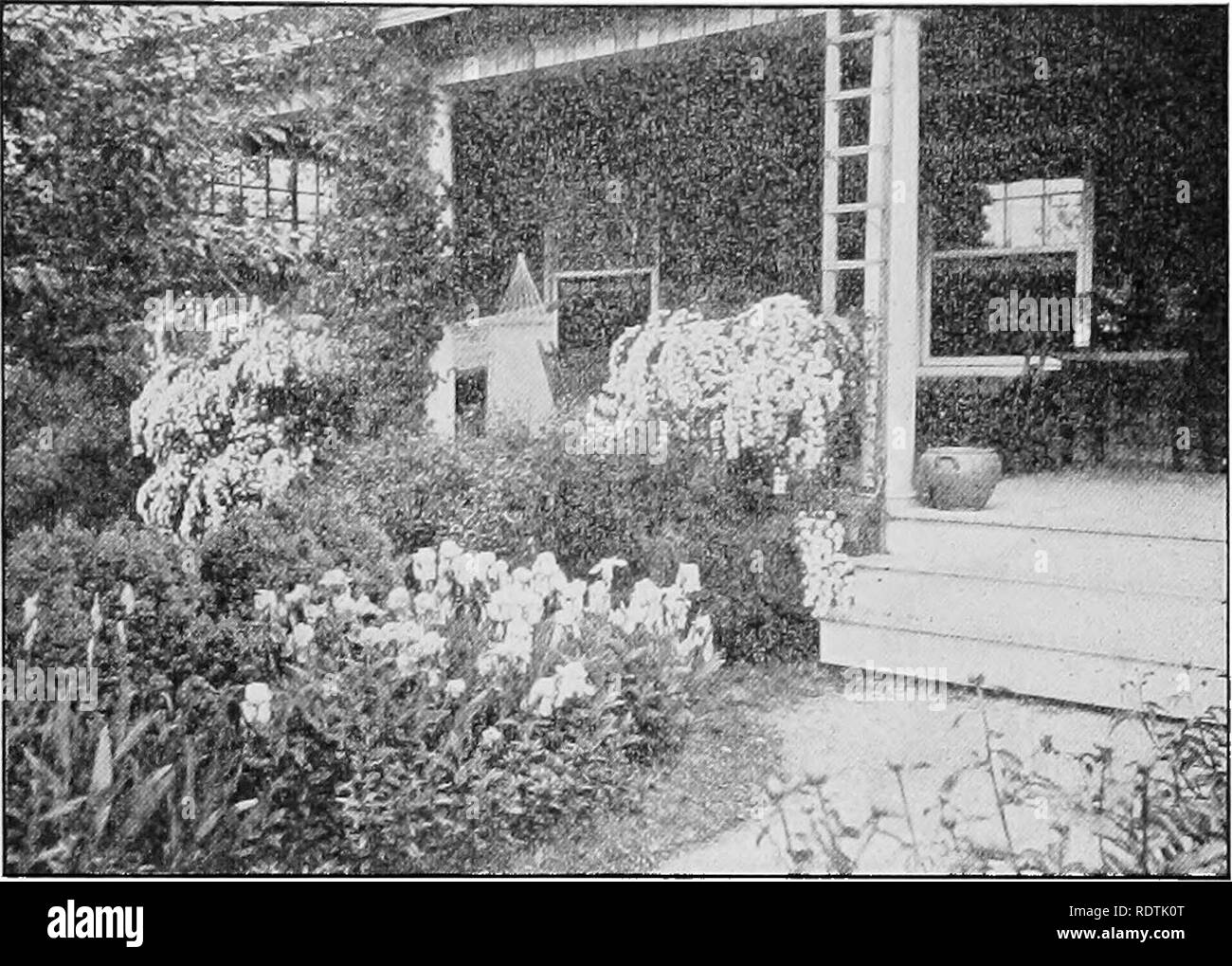 Reproductive parts of a plant Black and White Stock Photos & Images - Alamy