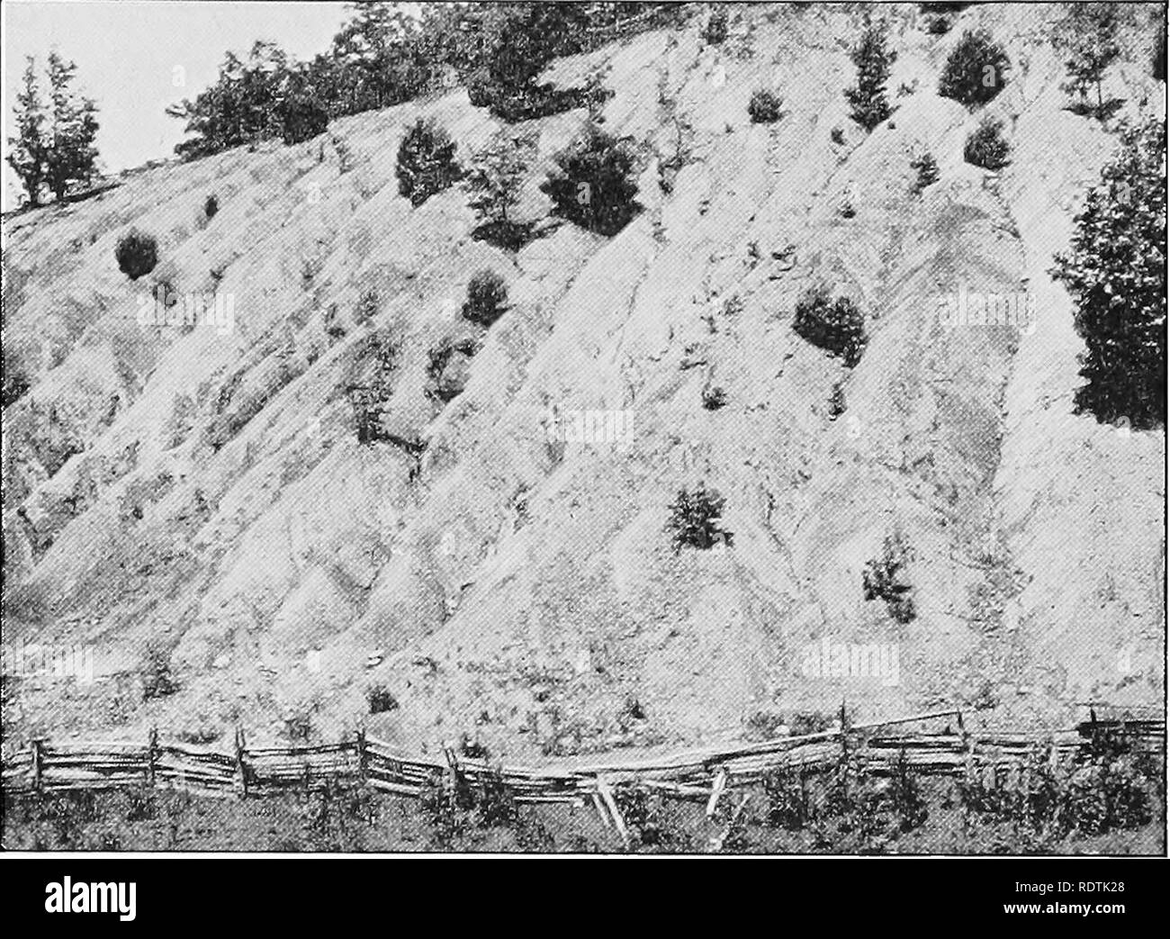 Soil binding Black and White Stock Photos & Images - Alamy