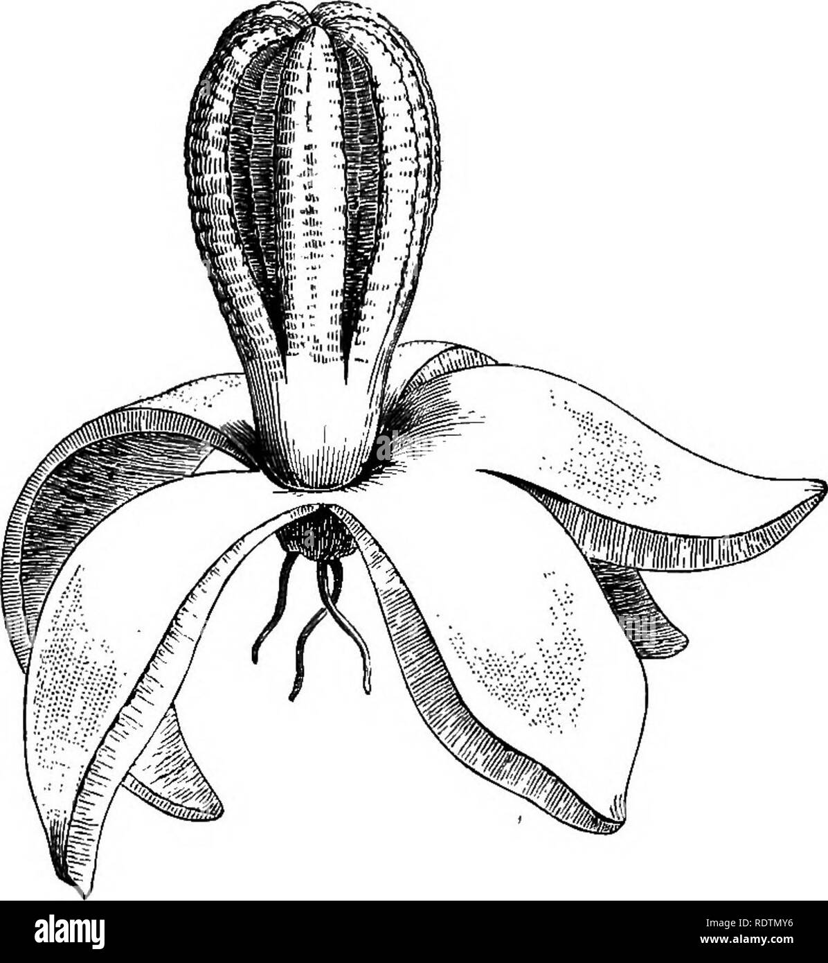 Volva Cut Out Stock Images & Pictures - Alamy