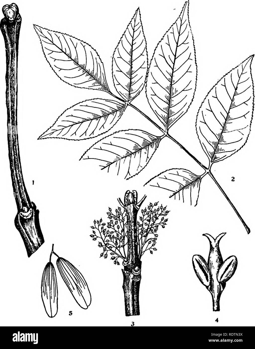 Ann arbor michigan winter Black and White Stock Photos & Images - Alamy