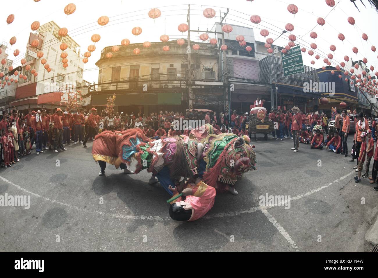 The Hainan tiger is dancing in Chinese New Year celebration in Thailand ...