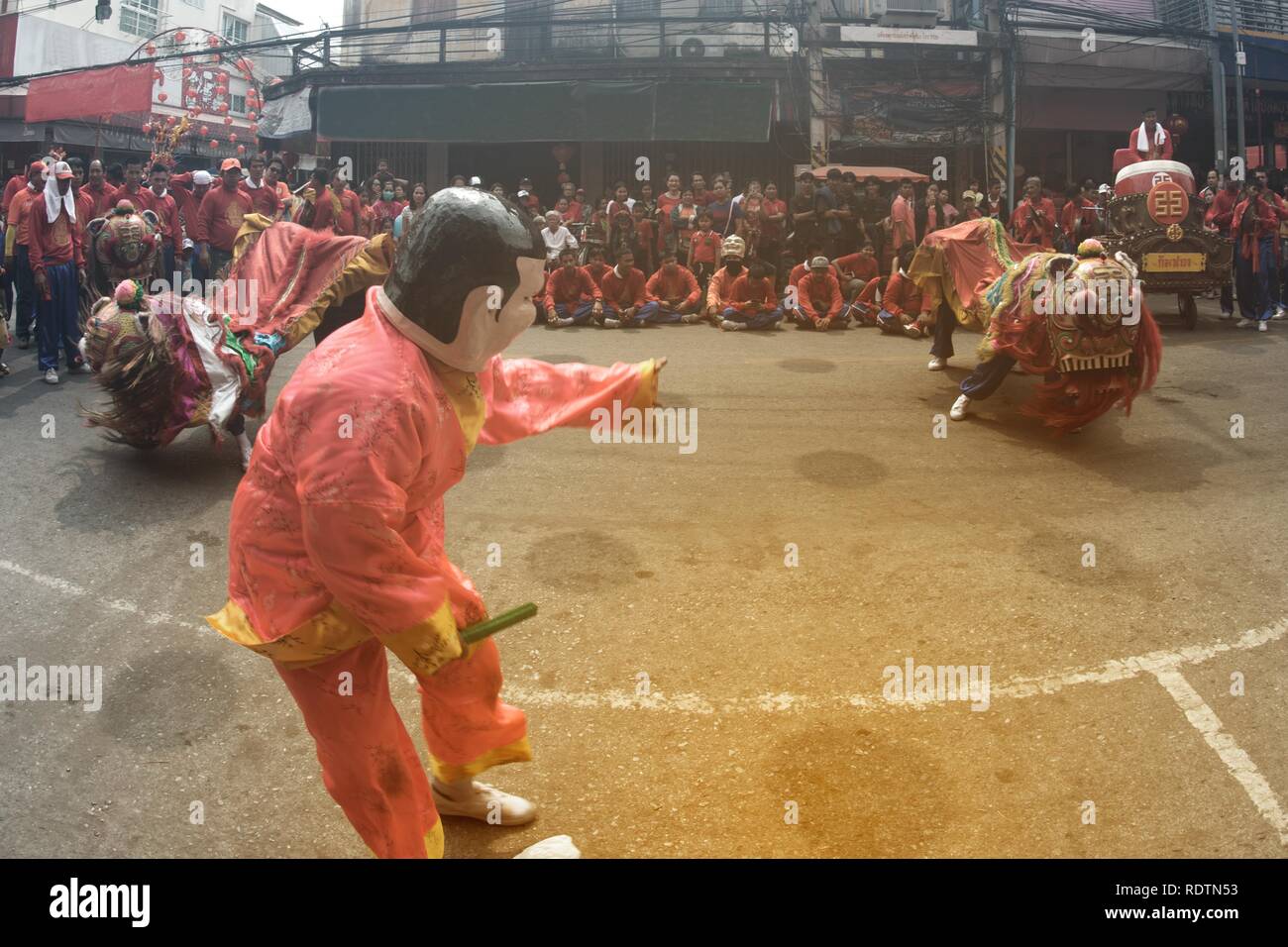 The Hainan tiger is dancing in Chinese New Year celebration in Thailand ...