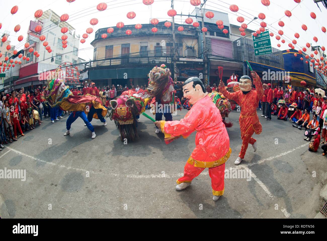 The Hainan tiger is dancing in Chinese New Year celebration in Thailand ...