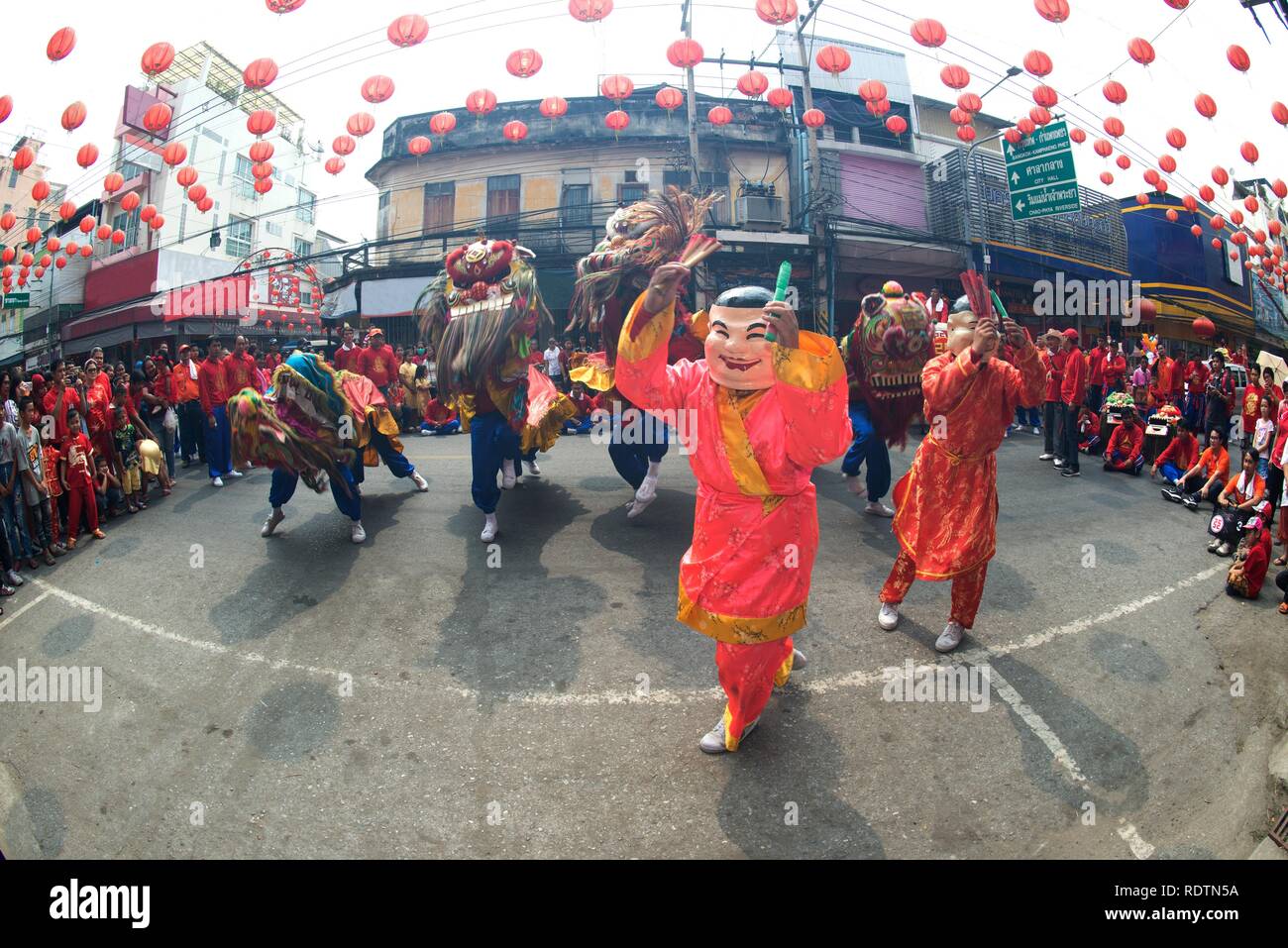 The Hainan tiger is dancing in Chinese New Year celebration in Thailand ...