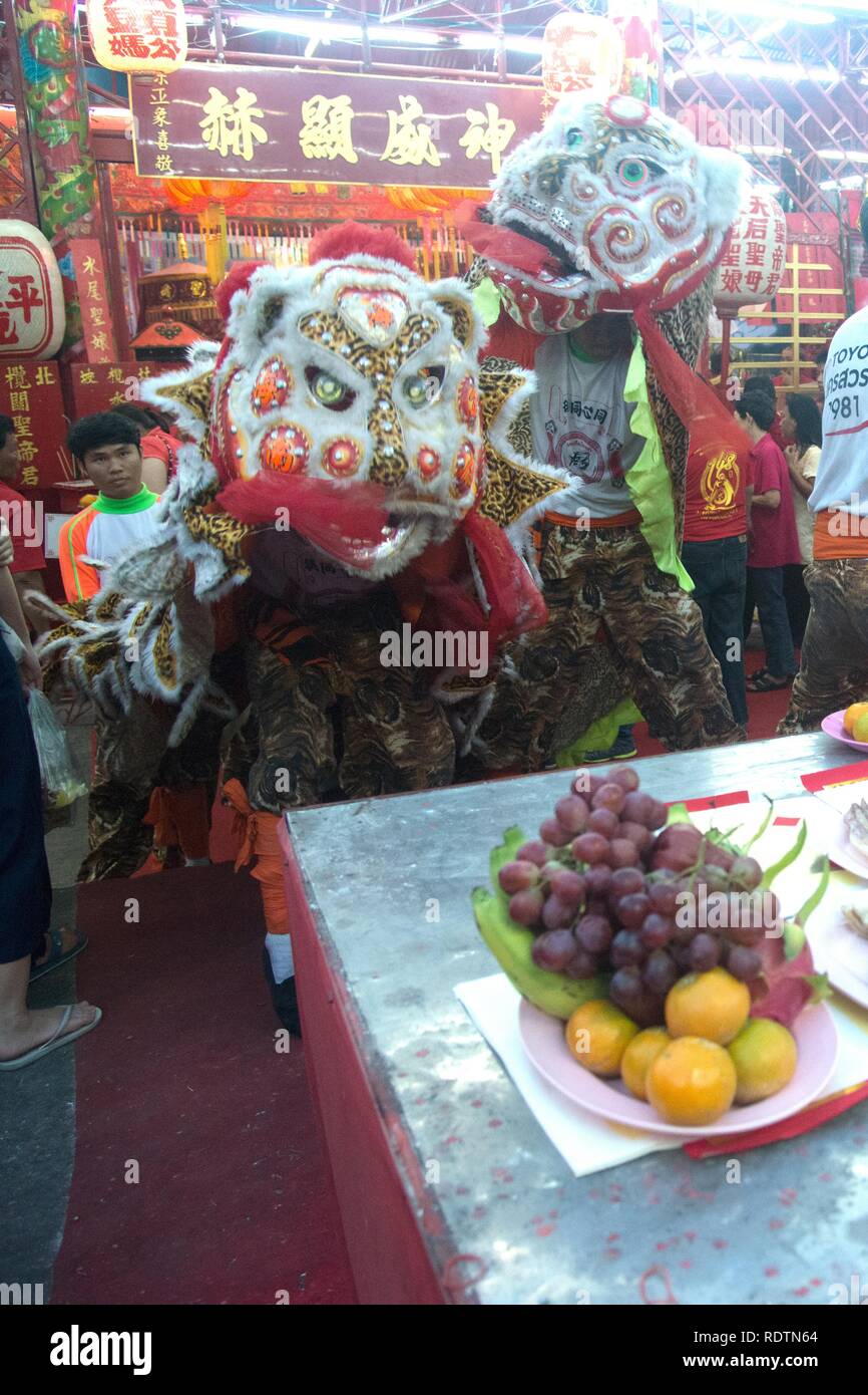 The Hainan tiger is respecting the altar table in Chinese New Year ...