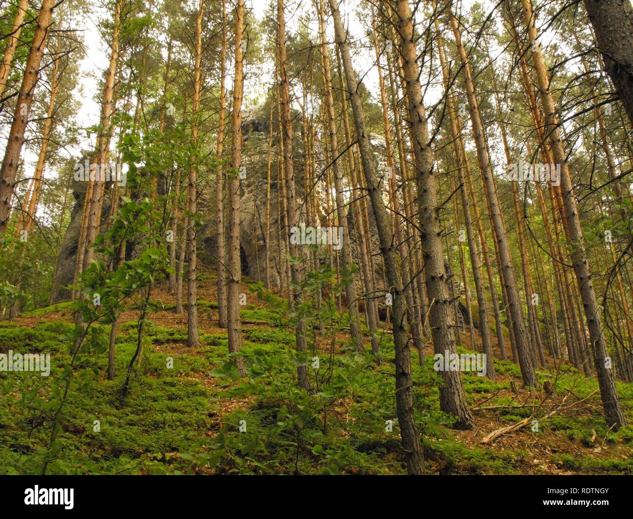 Arbaro Beškovský, Vymodlenec Stock Photo - Alamy