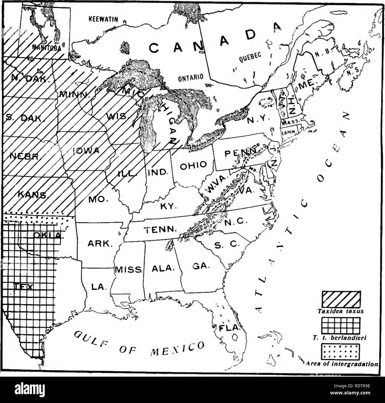 American Badger Range Map