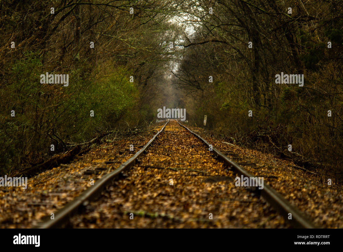 Handheld train hi-res stock photography and images - Alamy