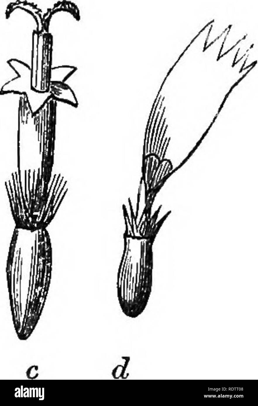 Split palate Black and White Stock Photos & Images - Alamy