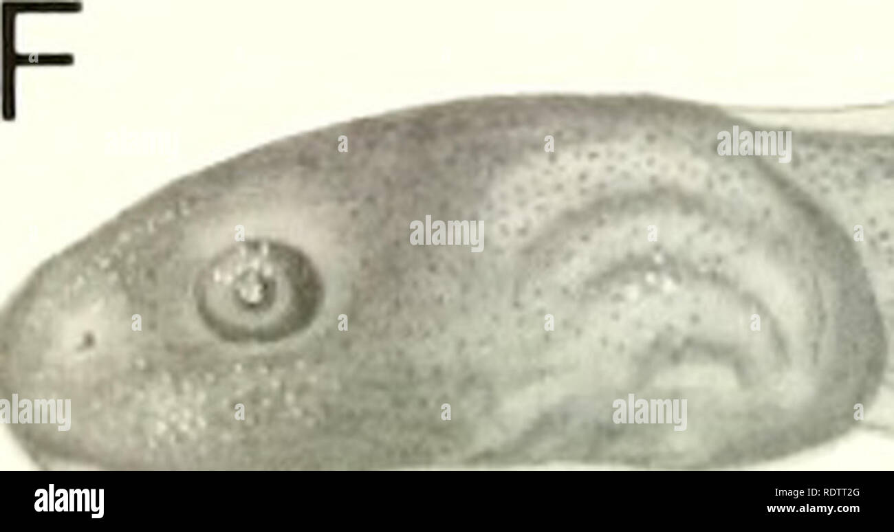 1447 mm hi-res stock photography and images - Alamy