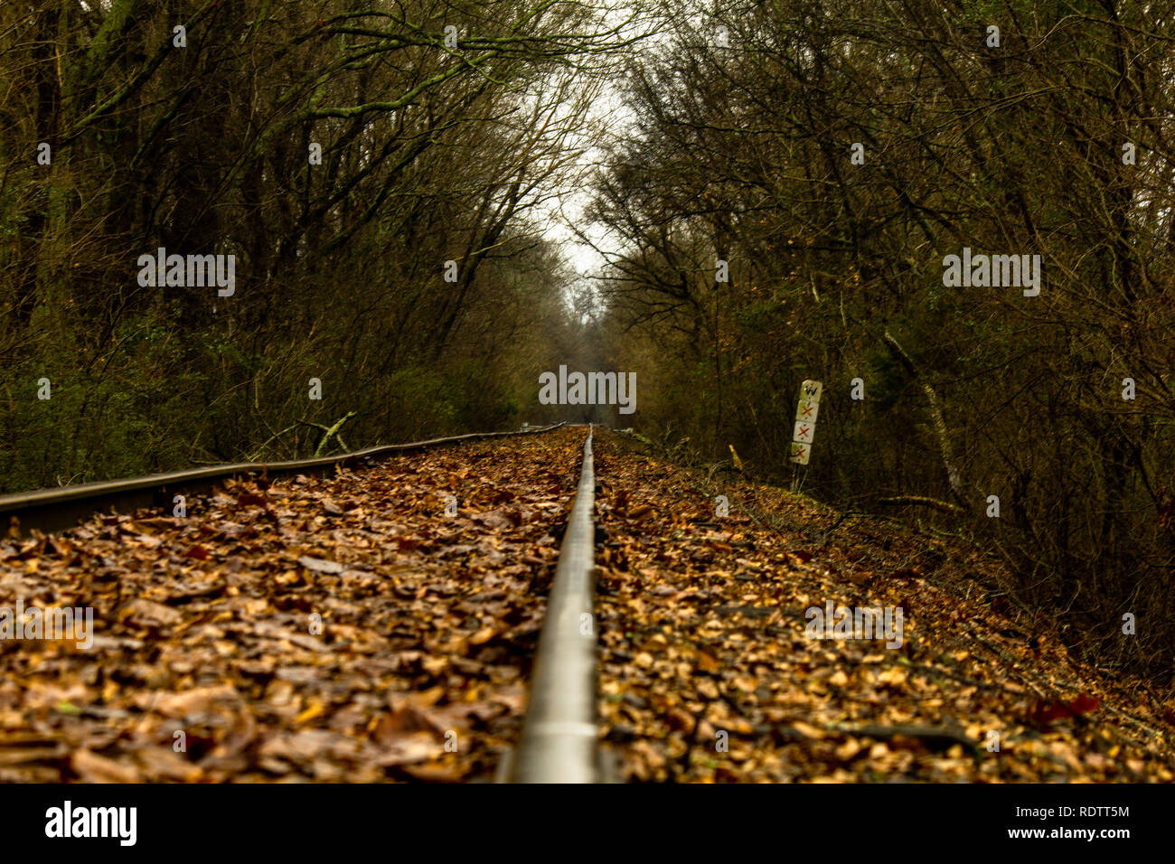 Handheld train hi-res stock photography and images - Alamy
