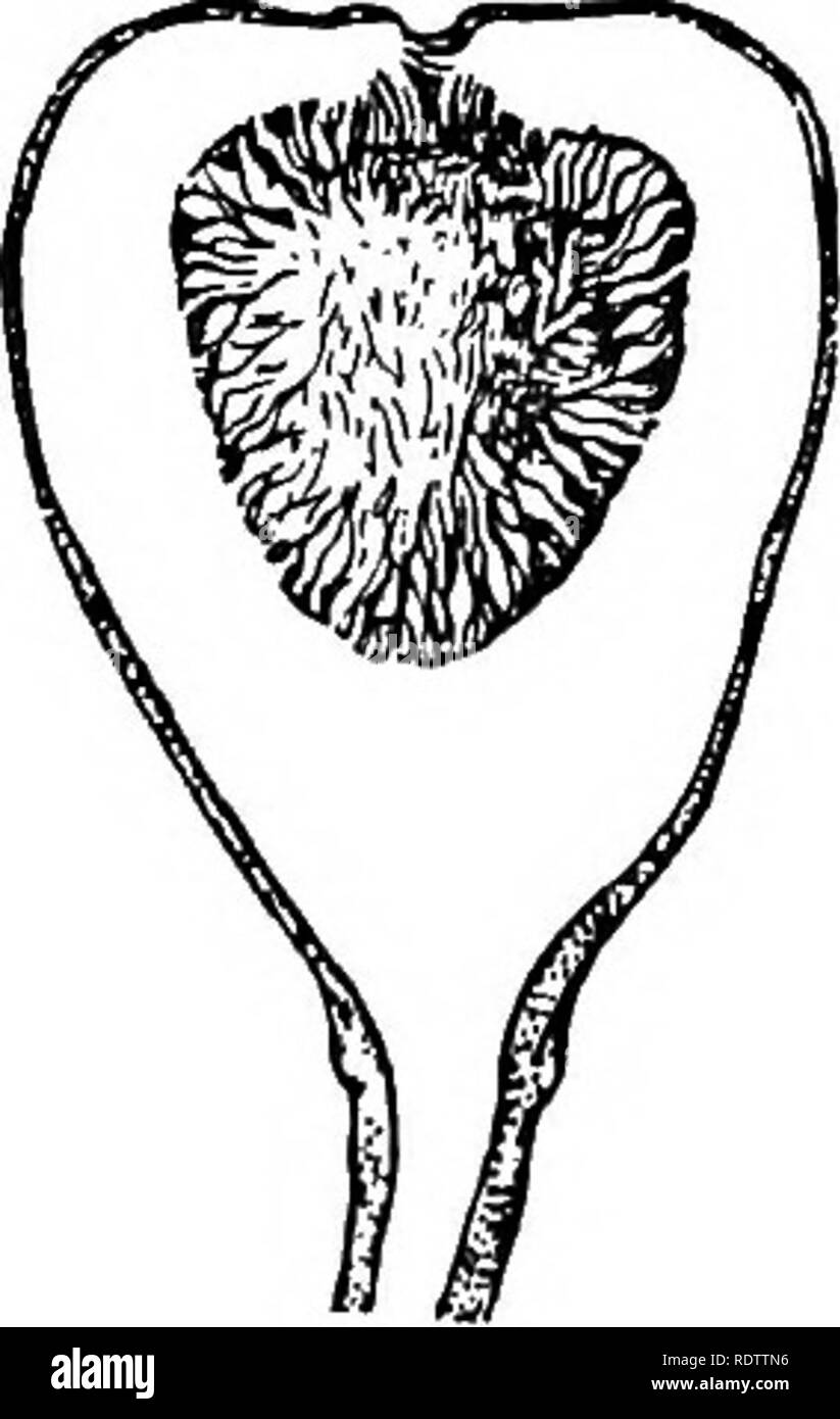 390 metres hi-res stock photography and images - Alamy