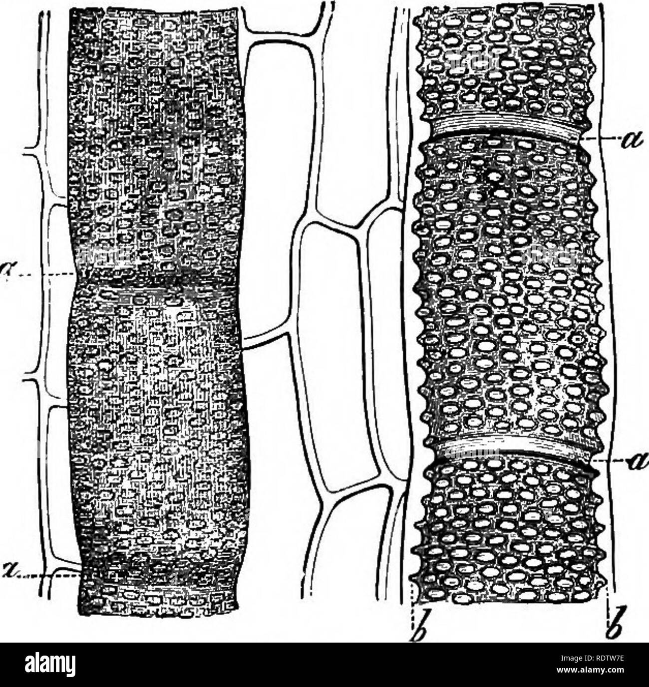 Paragraph 26 Black and White Stock Photos & Images - Alamy