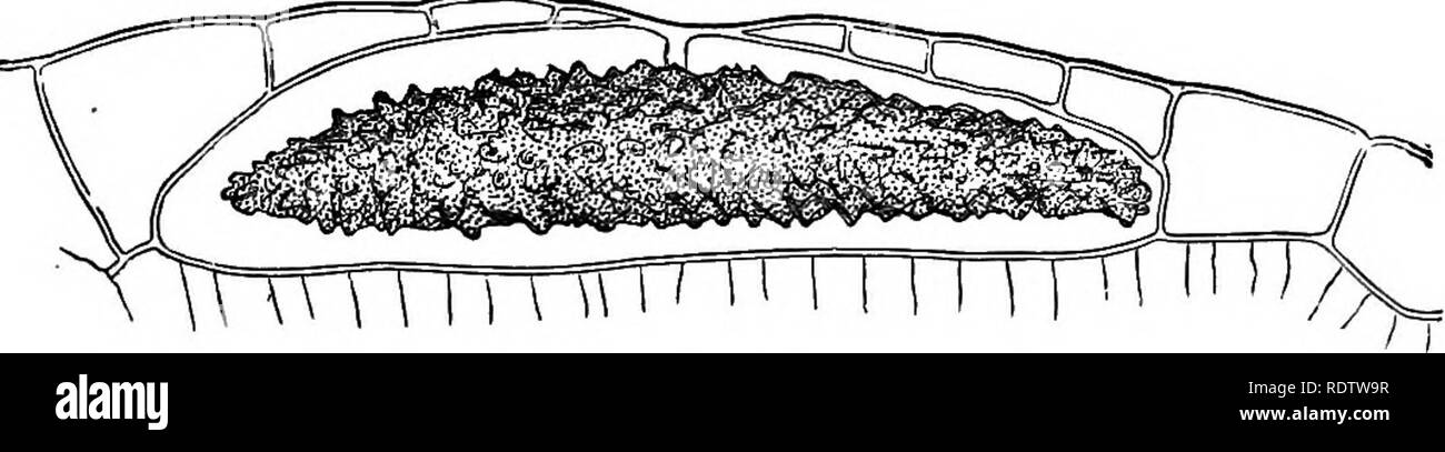 Calcium carbonate hydrochloric acid Black and White Stock Photos ...