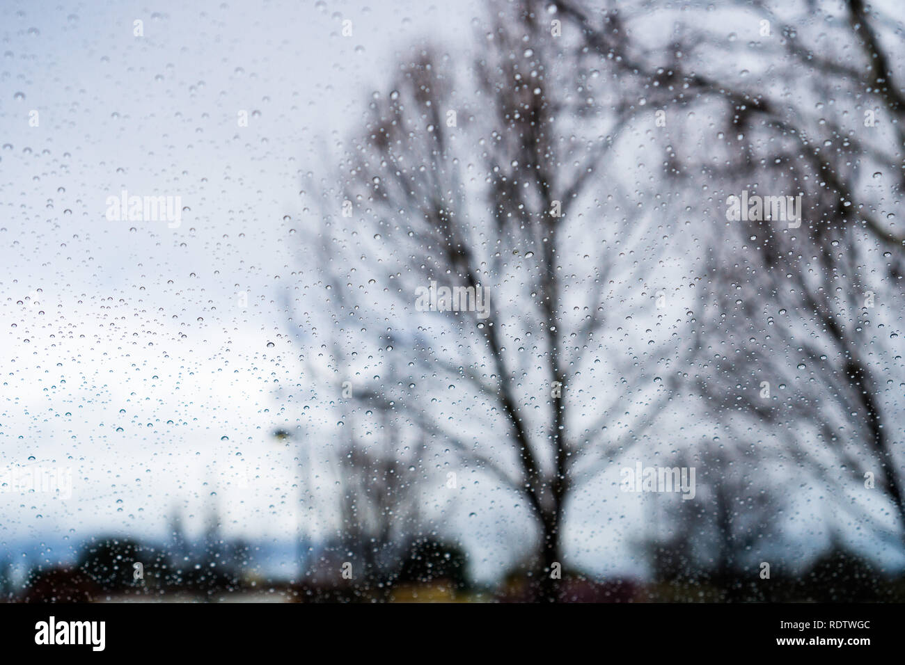 Blurred trees hi-res stock photography and images - Alamy