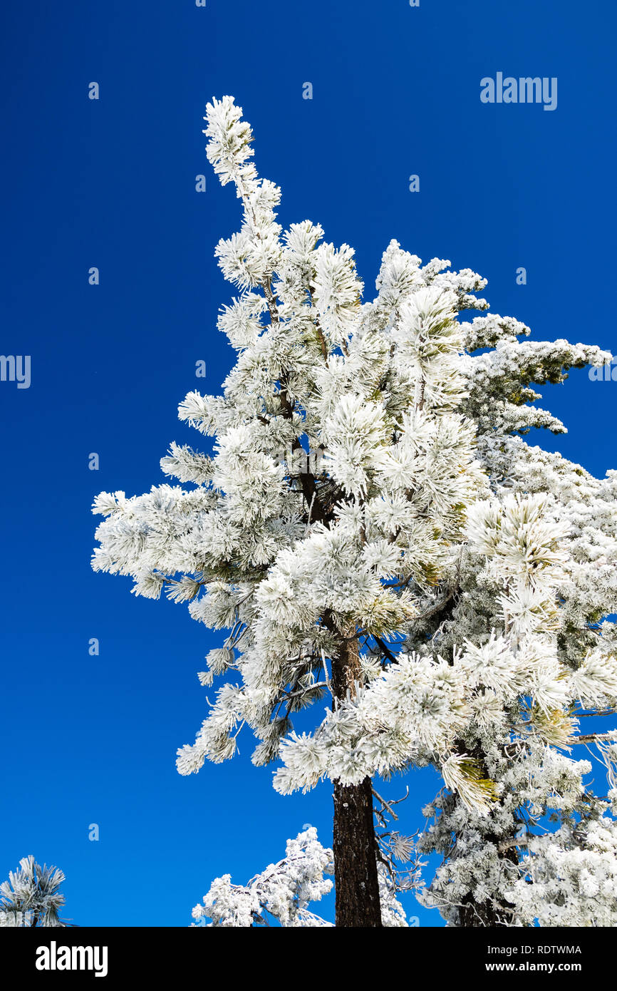Mt baldy ca hi-res stock photography and images - Alamy