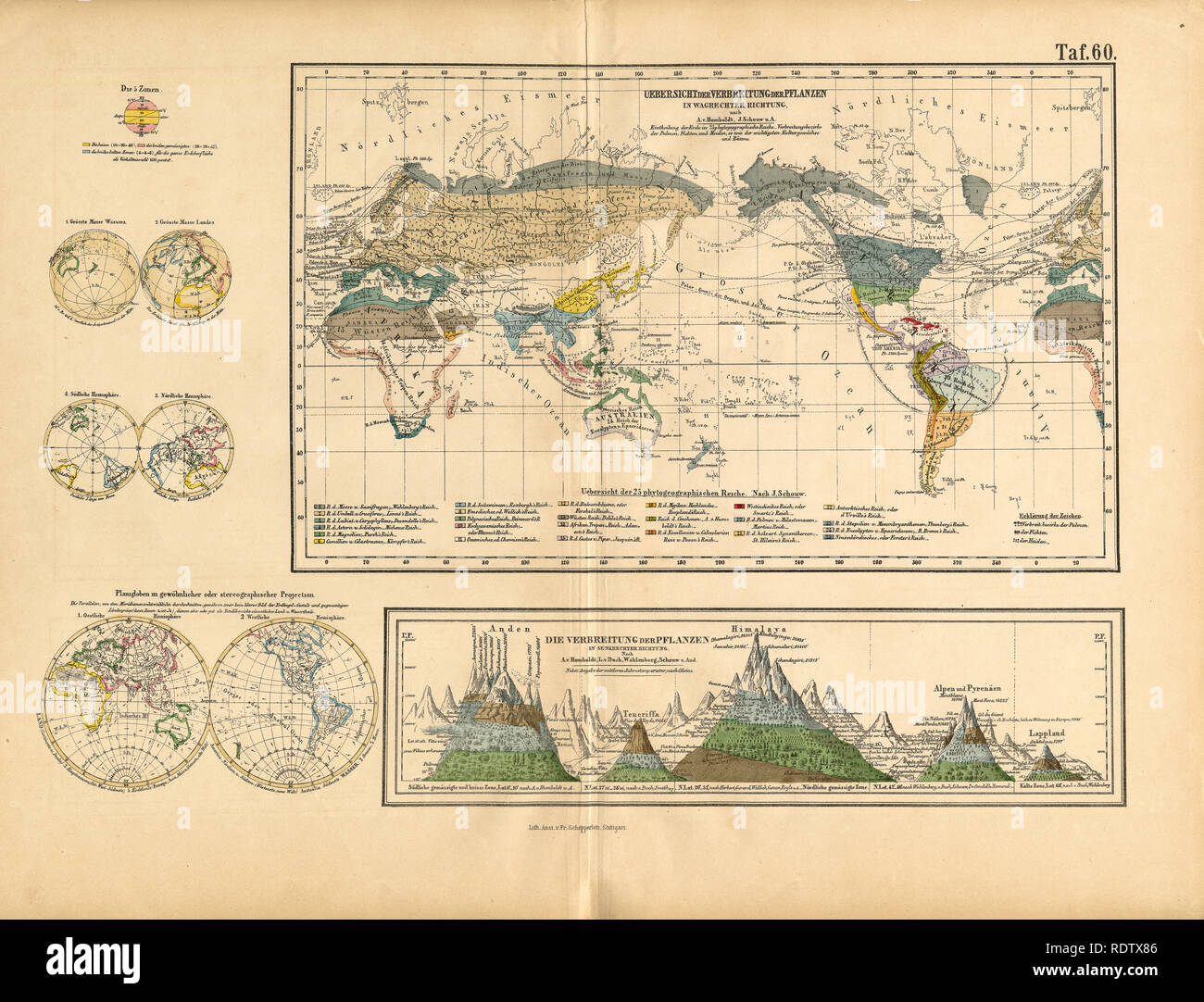 Map of Global Distribution of Plants, Victorian Botanical Illustration ...