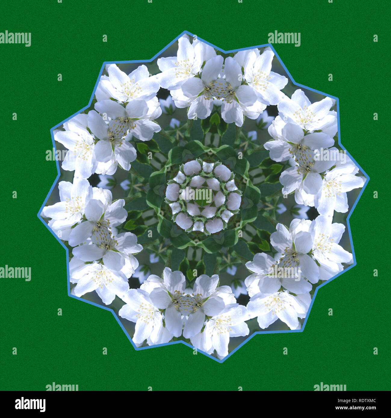 A kaleidoscope made from the blossom of a Syringa tree which is Idaho's ...