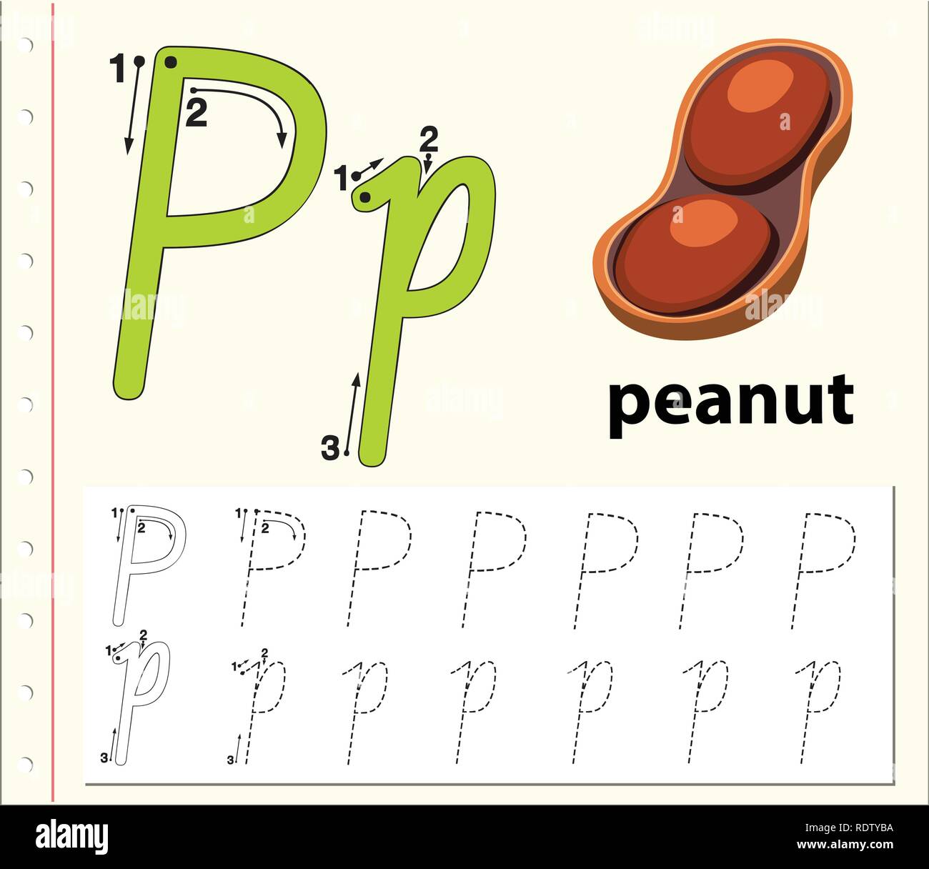 Peanut sheet Stock Vector Images - Alamy