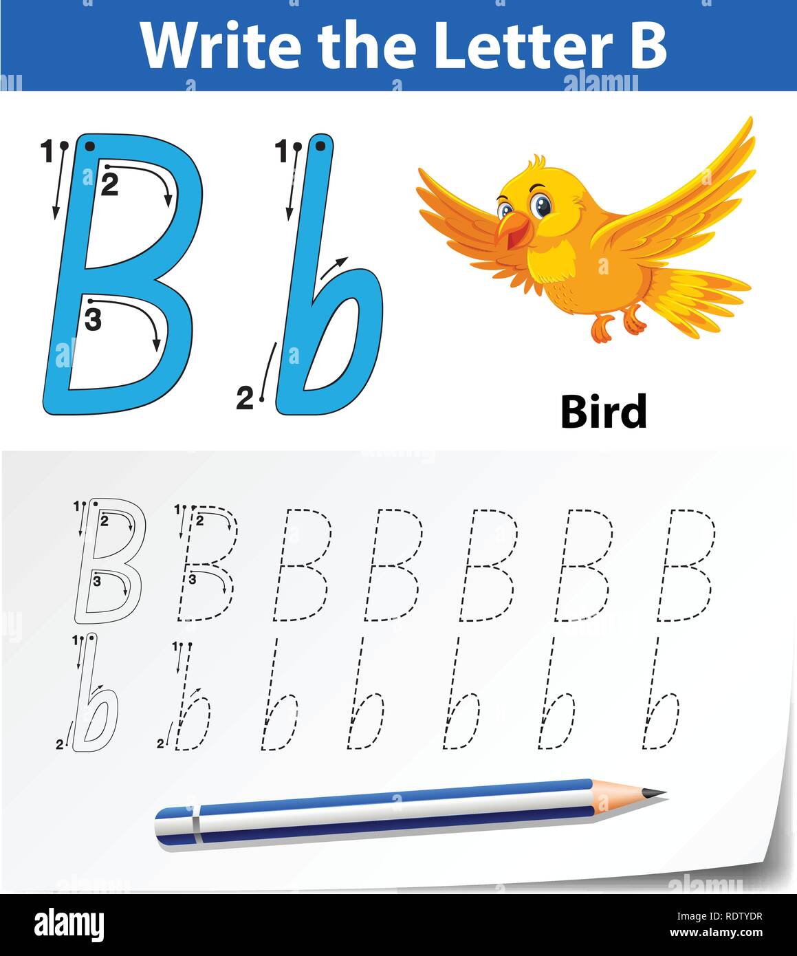 Letter B tracing alphabet worksheets illustration Stock Vector Image ...