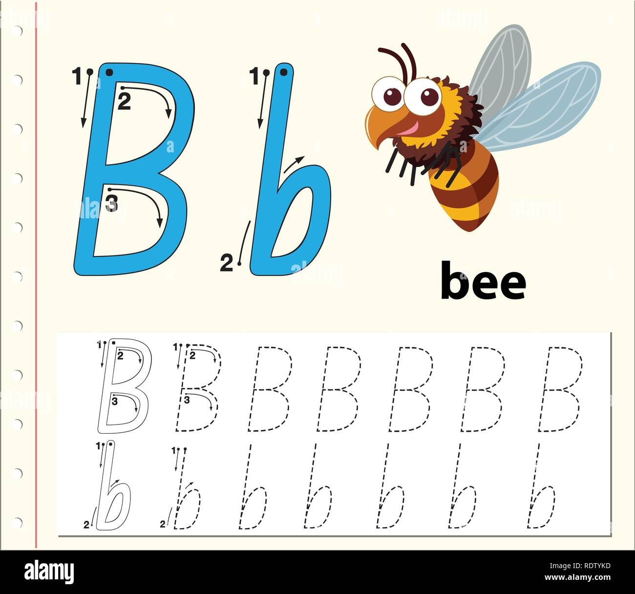 Letter B tracing alphabet worksheets illustration Stock Vector Image ...