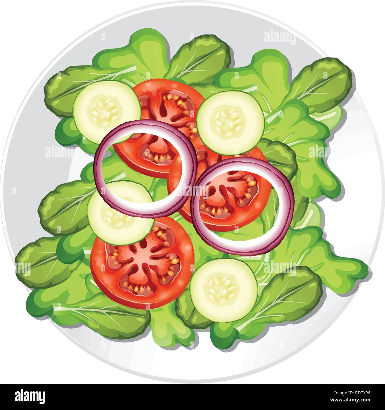 A Healthy Vegetable Salad Illustration Stock Vector Image And Art Alamy
