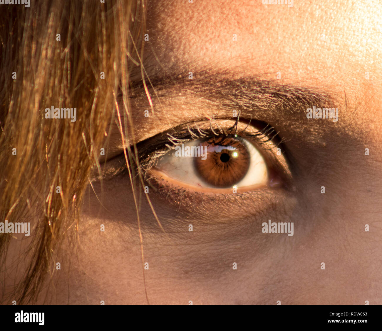 Visionary looking hi-res stock photography and images - Alamy
