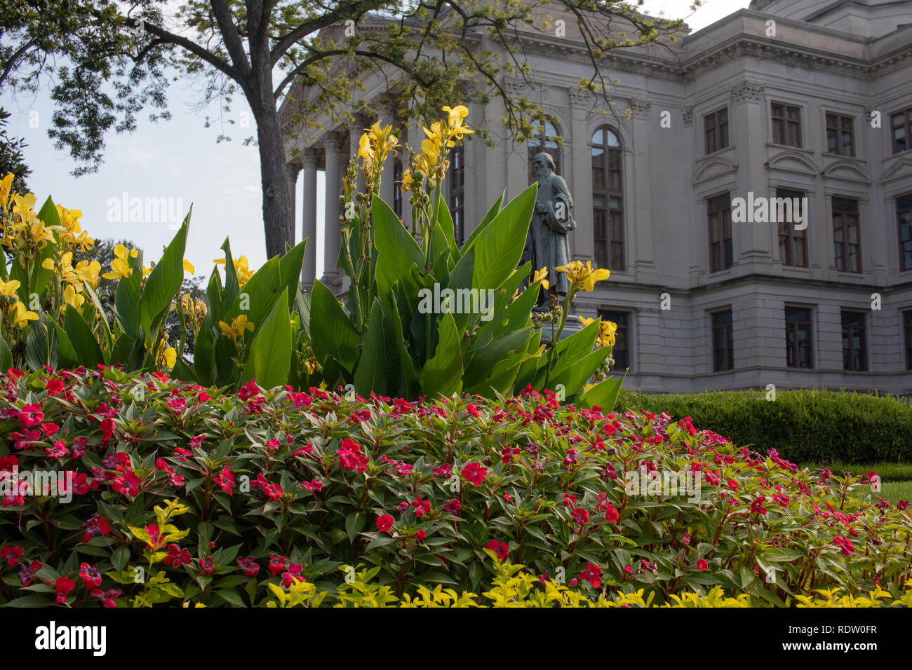 Tulip in front of building hi-res stock photography and images - Alamy