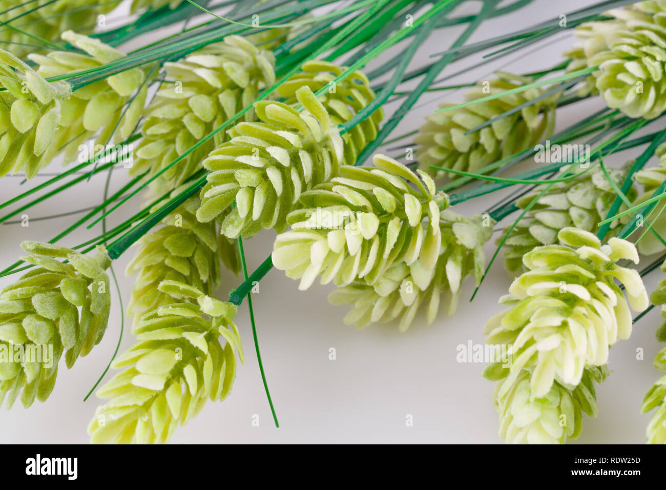 Fabric plant closeup picture Stock Photo - Alamy