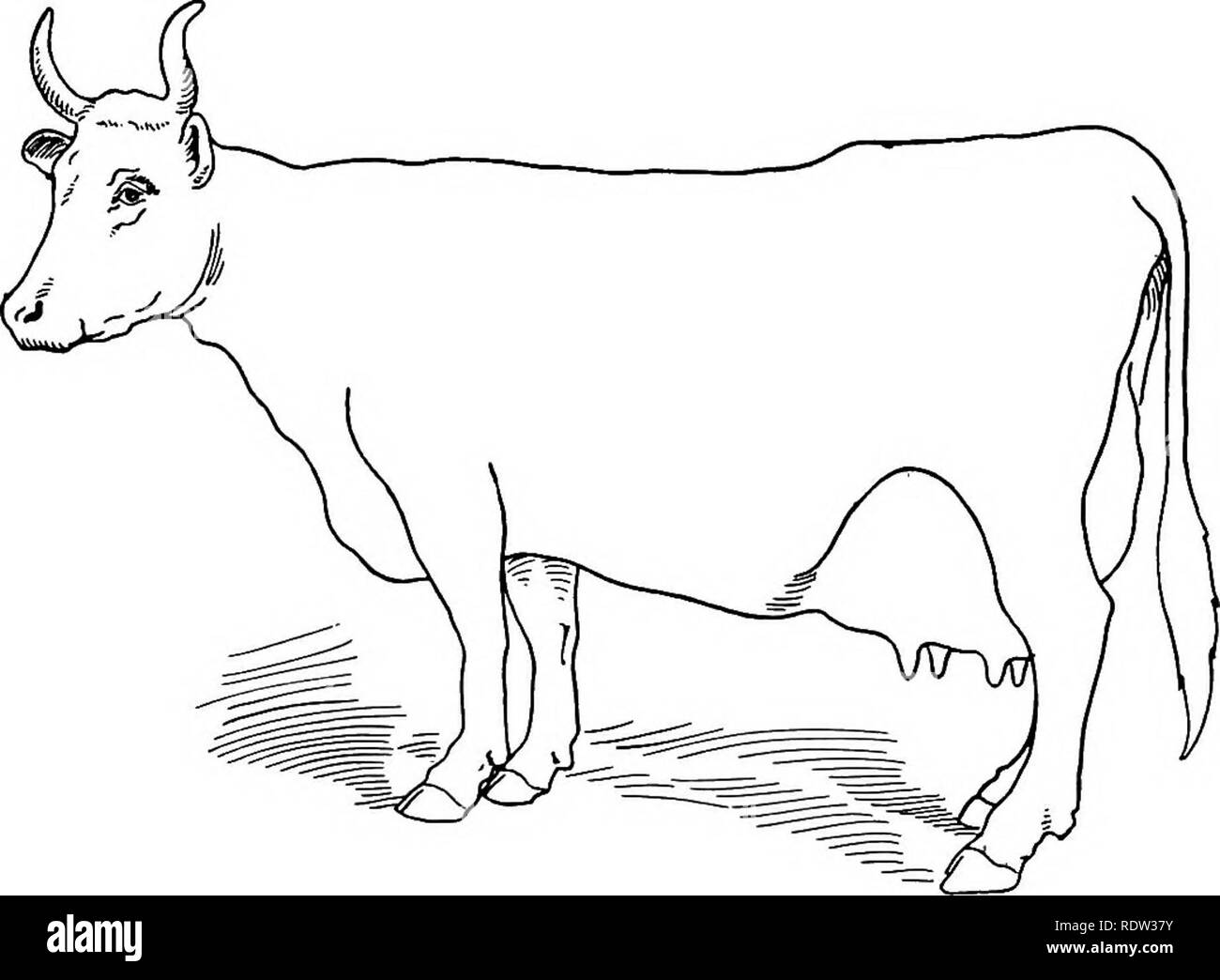 Individual traits Black and White Stock Photos & Images - Alamy