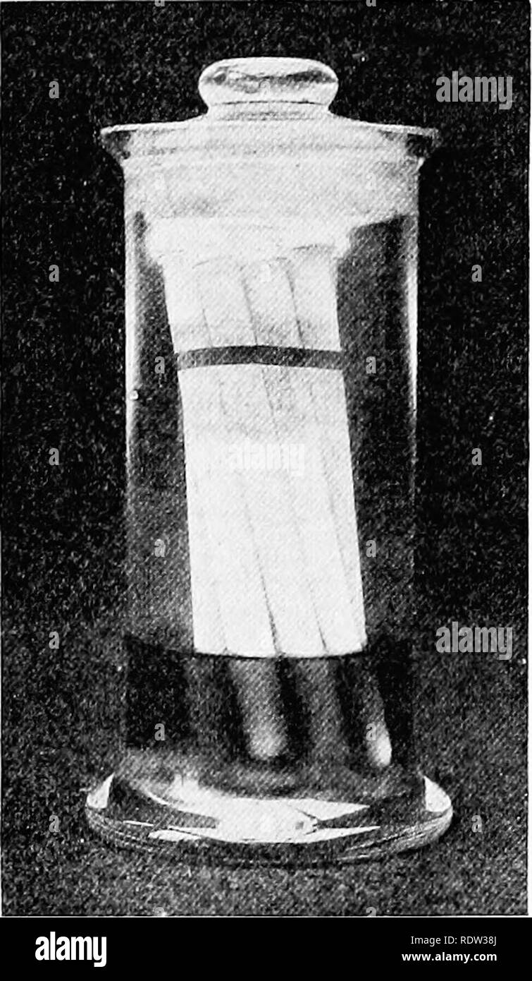 Chemicals in test tube Black and White Stock Photos & Images - Alamy