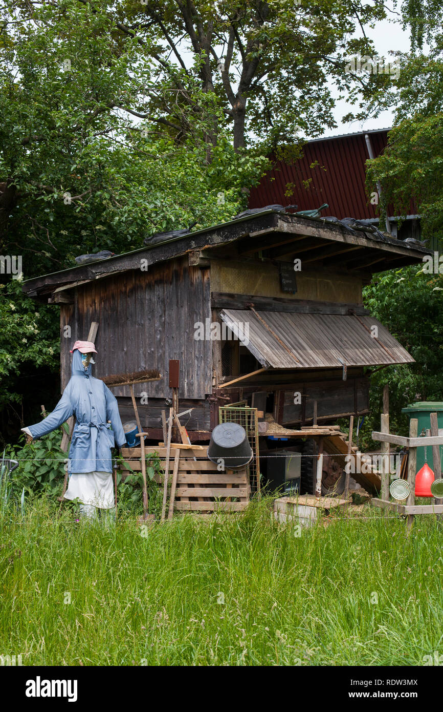 Scary chicken hi-res stock photography and images - Alamy