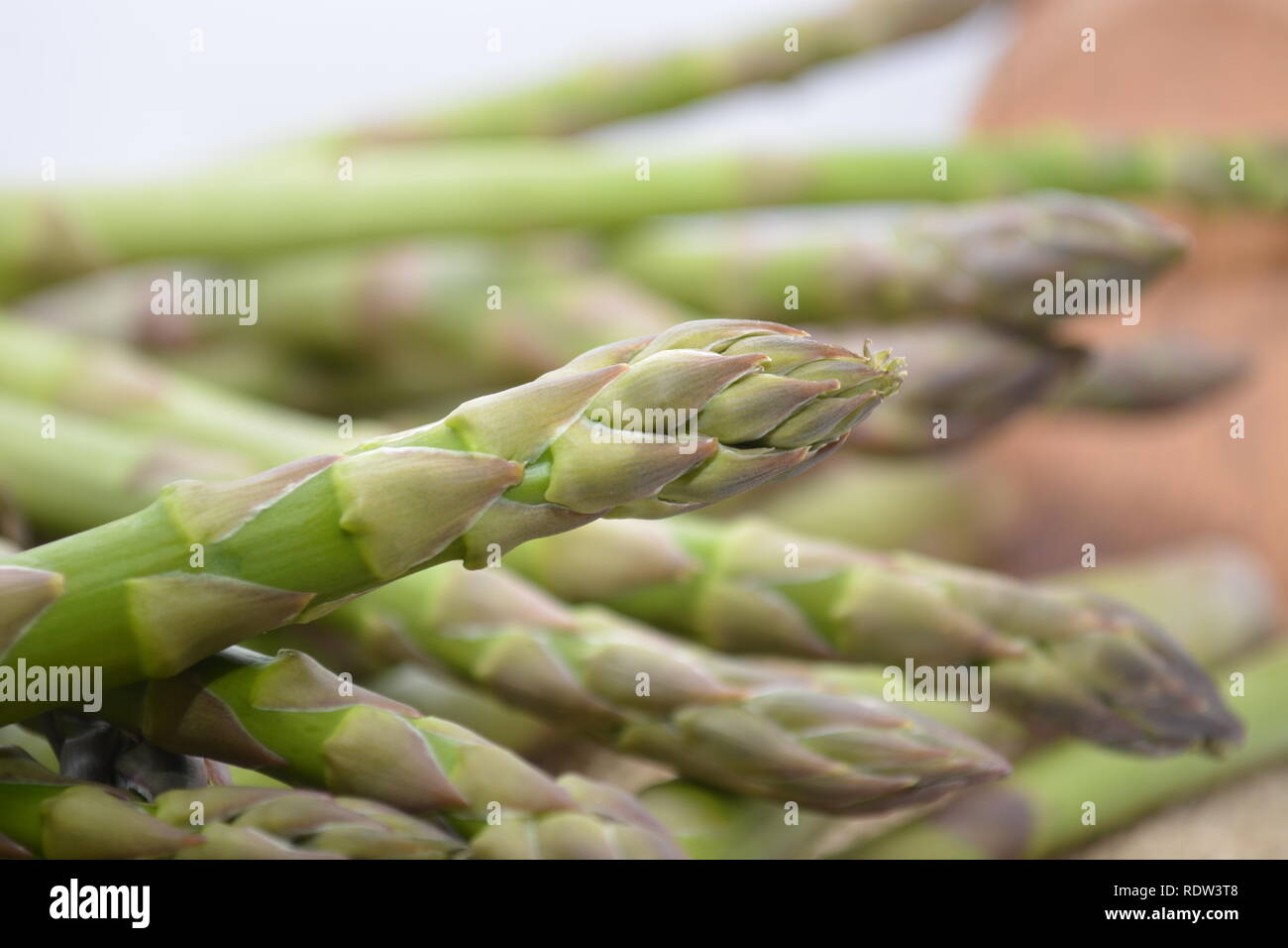 fresh green asparagus vegetables food Stock Photo - Alamy