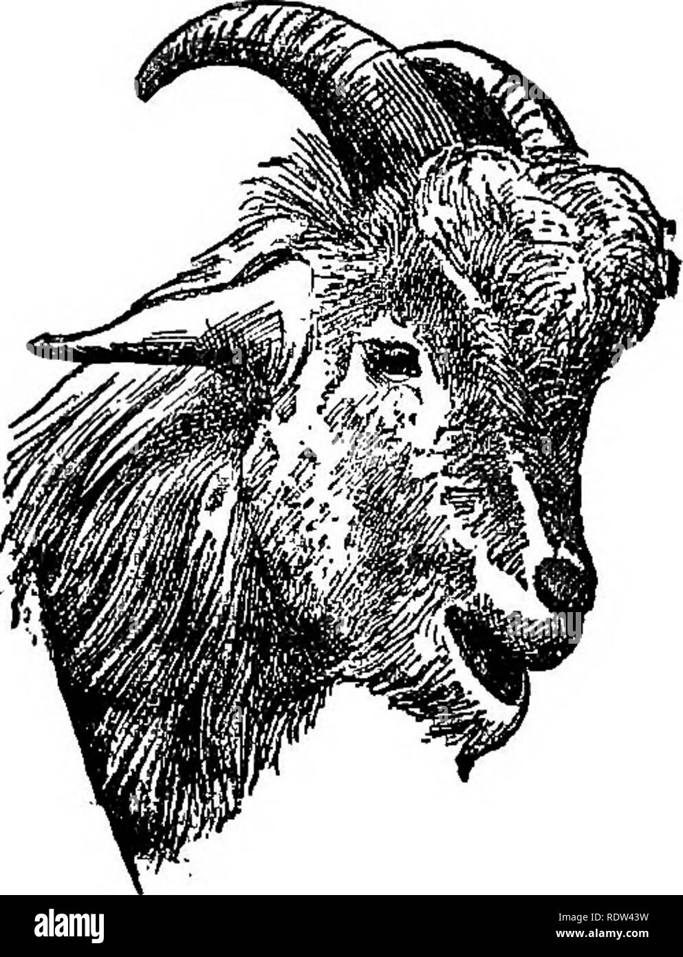 Pathogeny hi-res stock photography and images - Alamy