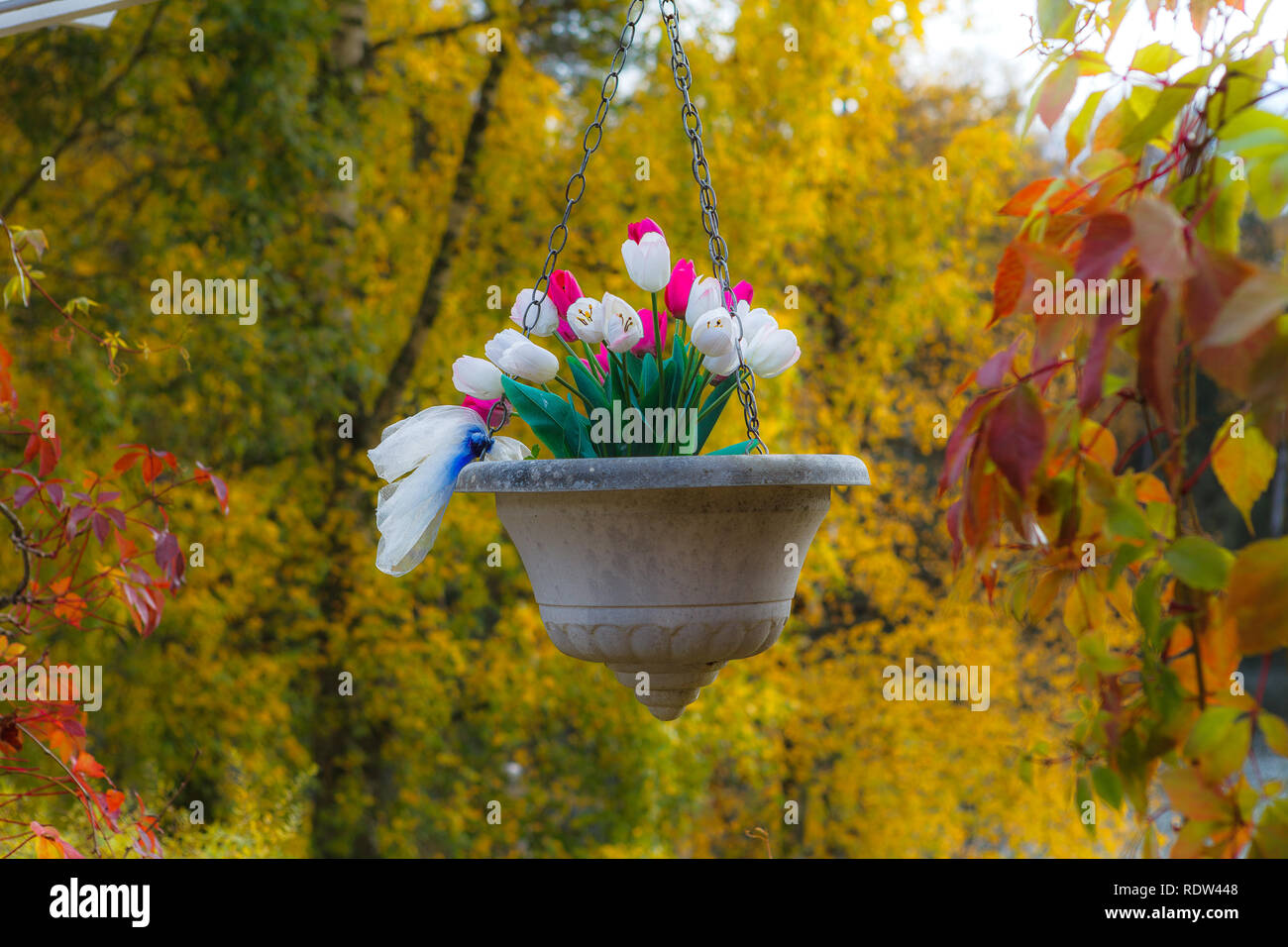 The small park at fall season with flower pot, bench and decorations ...