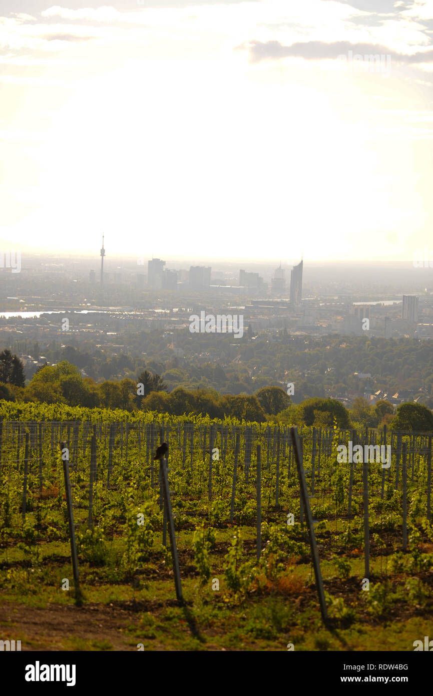 Vienna green architecture Stock Photo - Alamy