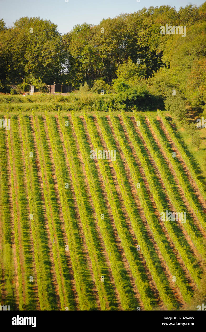 Vienna green architecture Stock Photo - Alamy