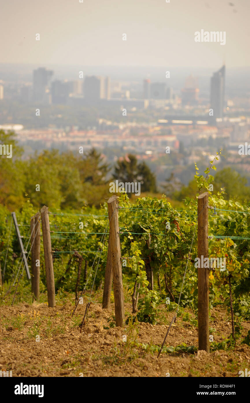 Vienna green architecture Stock Photo - Alamy