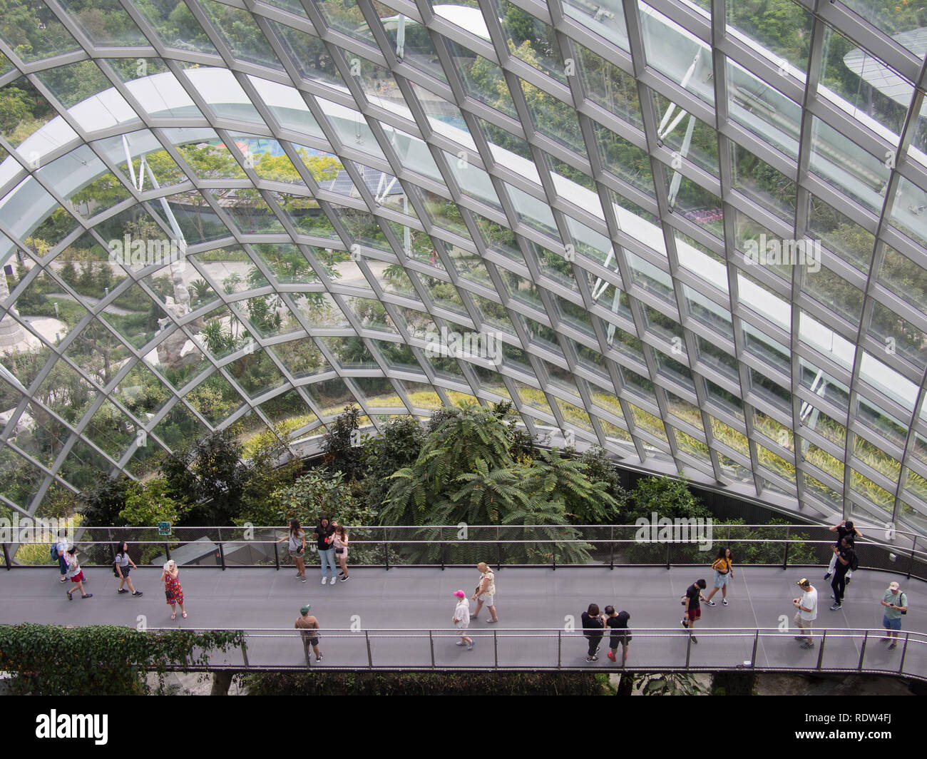 Aerial view of a walkway at Cloud Forest of Gardens by the Bay in ...