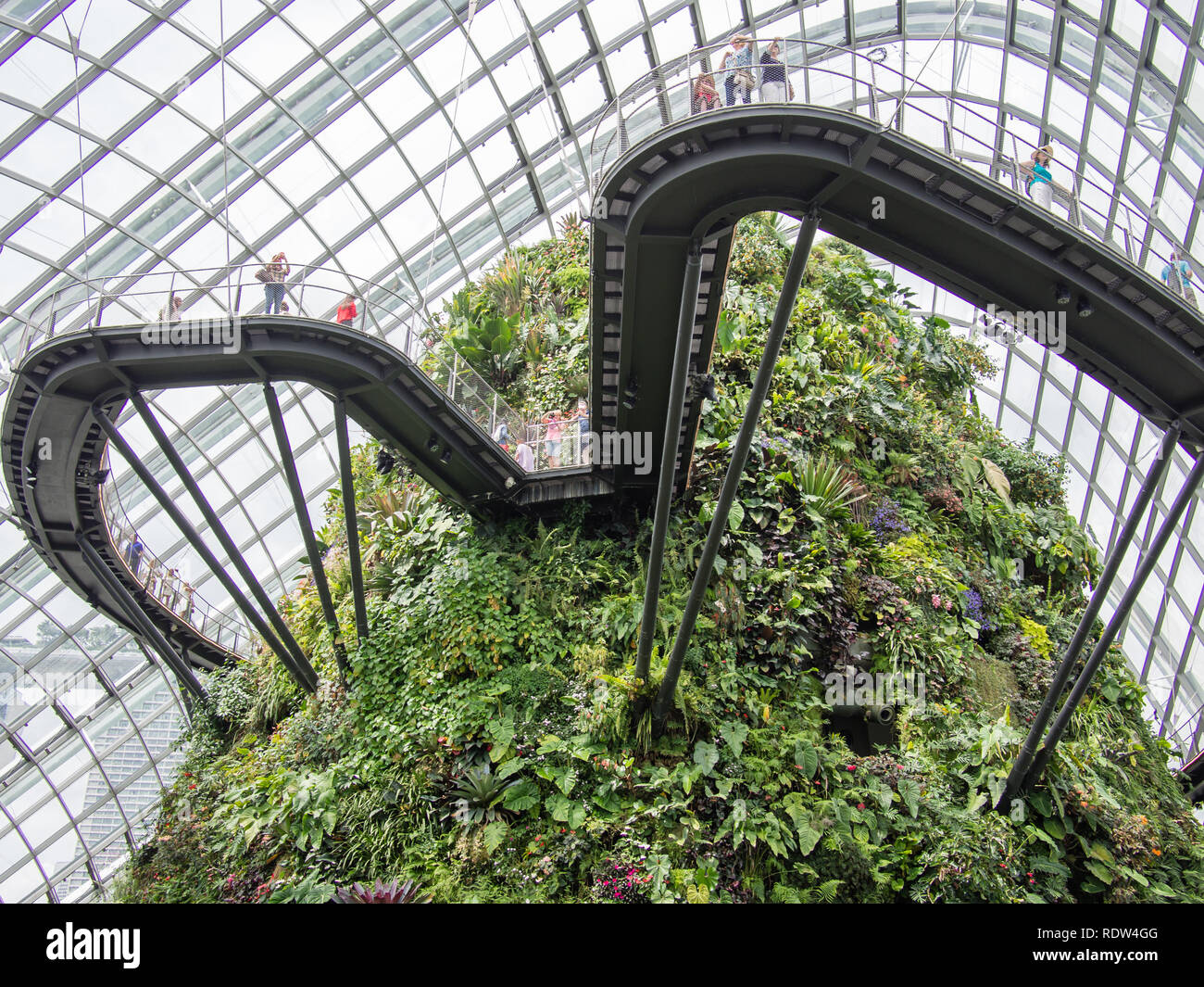A walkway surrounding a large tree at Cloud Forest of Gardens by the ...