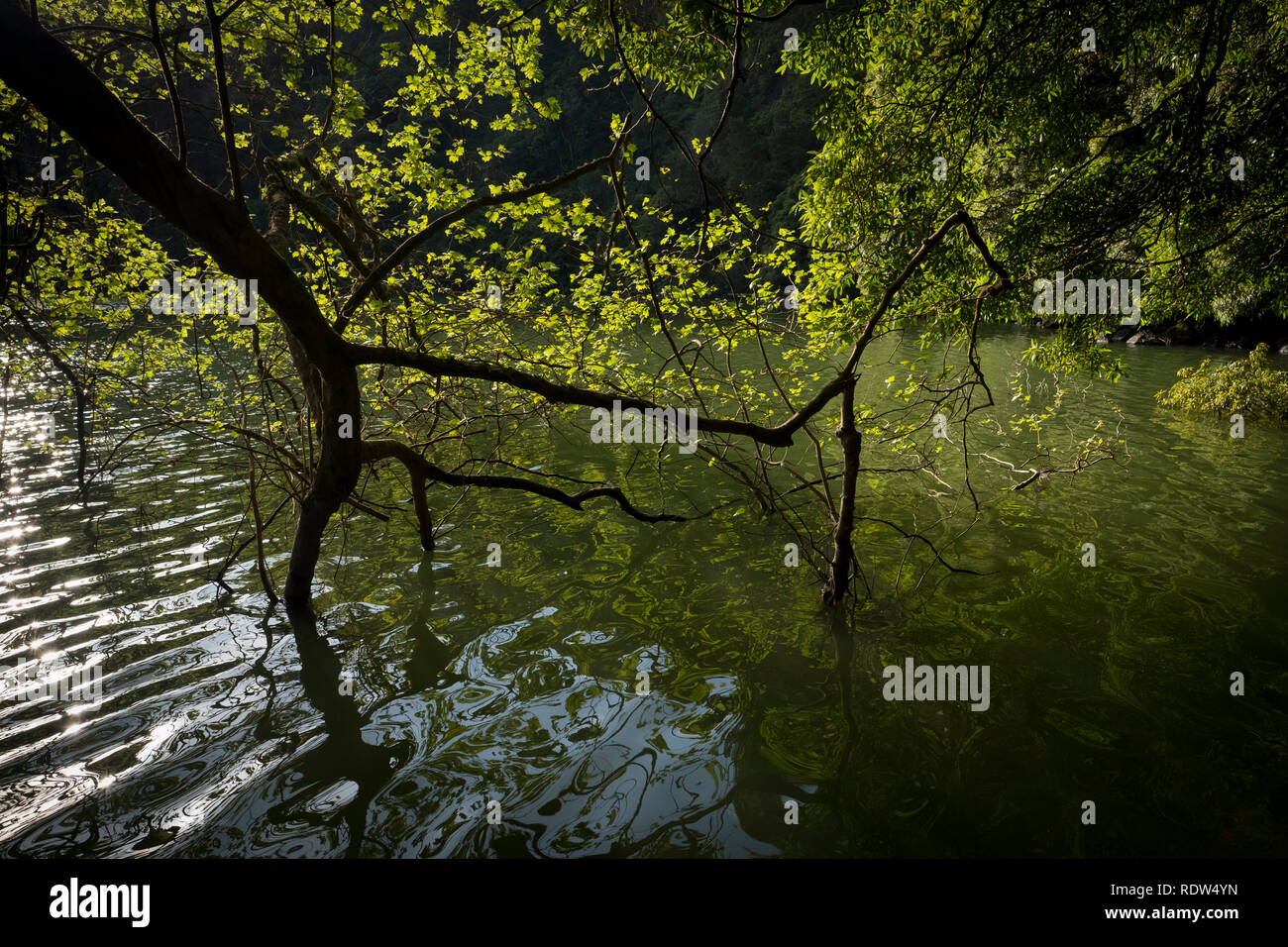 Lagoon congro lagoa do congro hi-res stock photography and images - Alamy