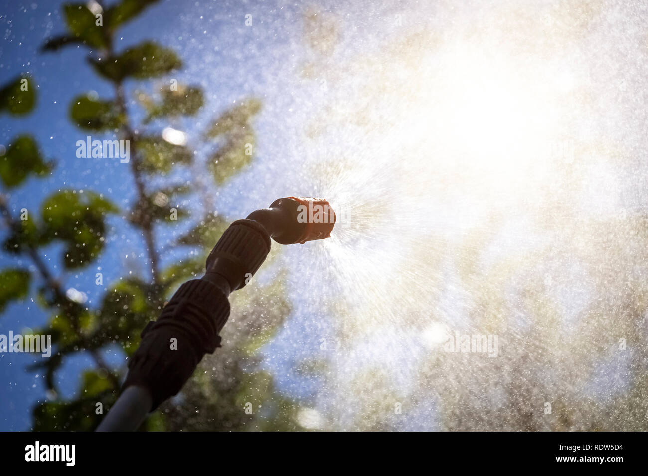 Chemical treatment of garden trees from insects Stock Photo - Alamy