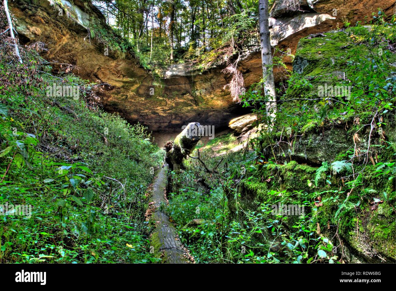 Recessed path hi-res stock photography and images - Alamy